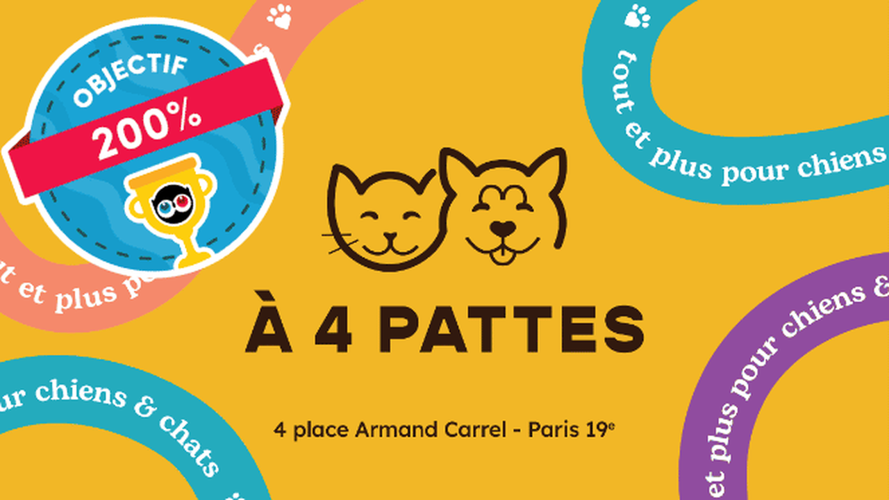 À 4 PATTES, Tout et Plus pour Chats et Chiens à PARIS!