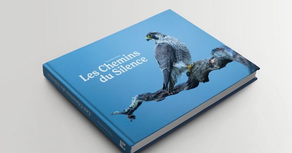 Les Chemins du Silence - Théo Bonnefous - Ulule