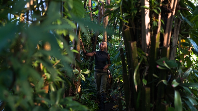 Lets bring a new plant store to Amsterdam!