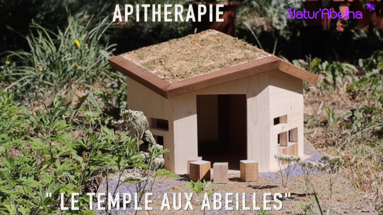 Ces abeilles qui nous soignent - Ulule