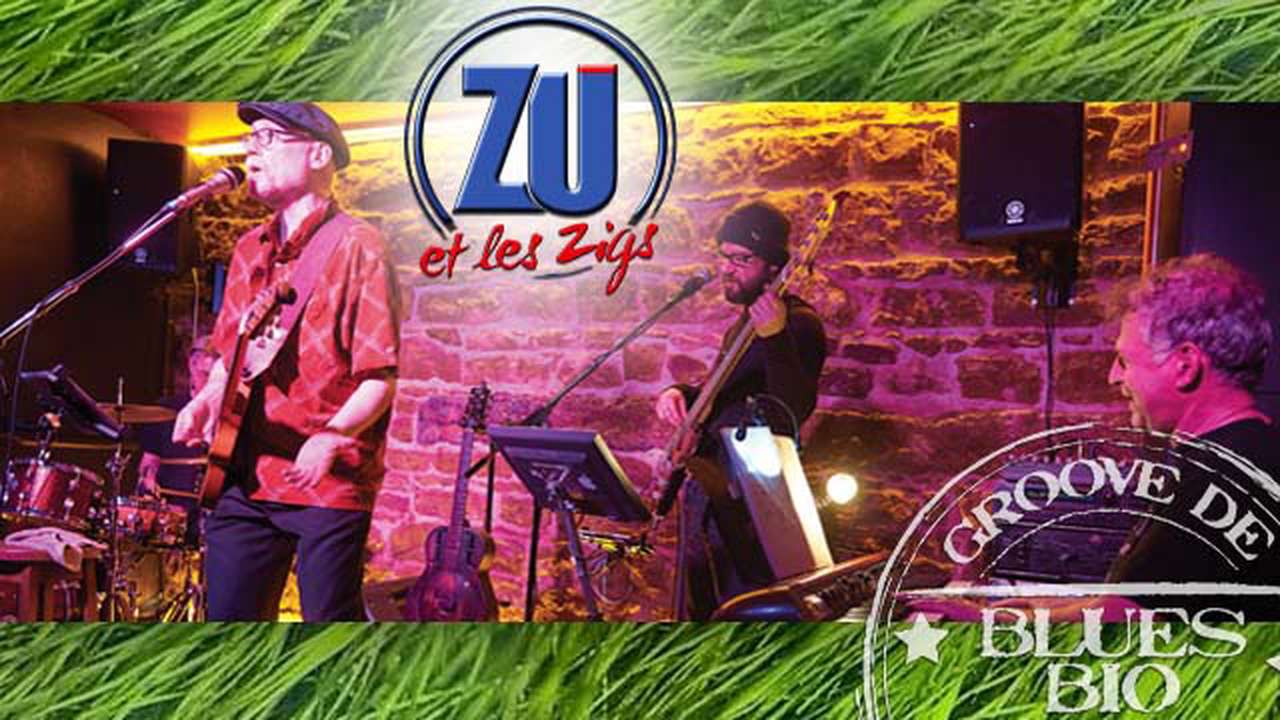 CD live de ZU et les Zigs - Ulule