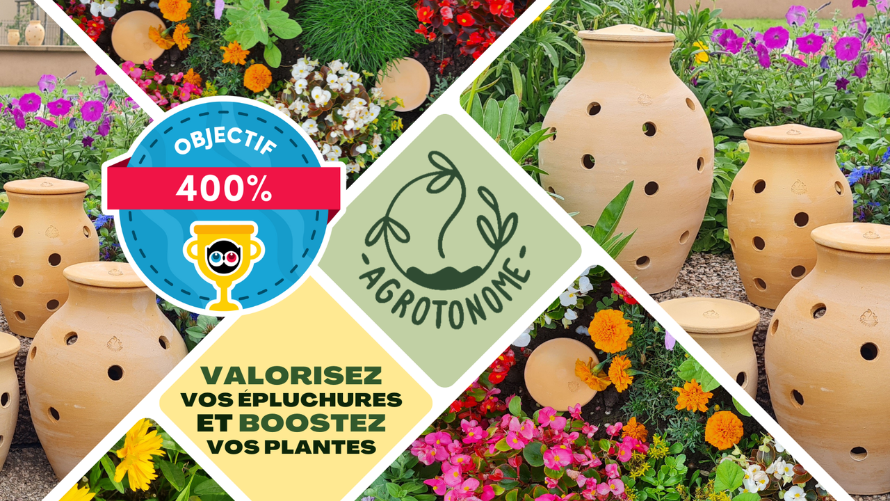 Compostino, le composteur qui booste vos plantes - Ulule