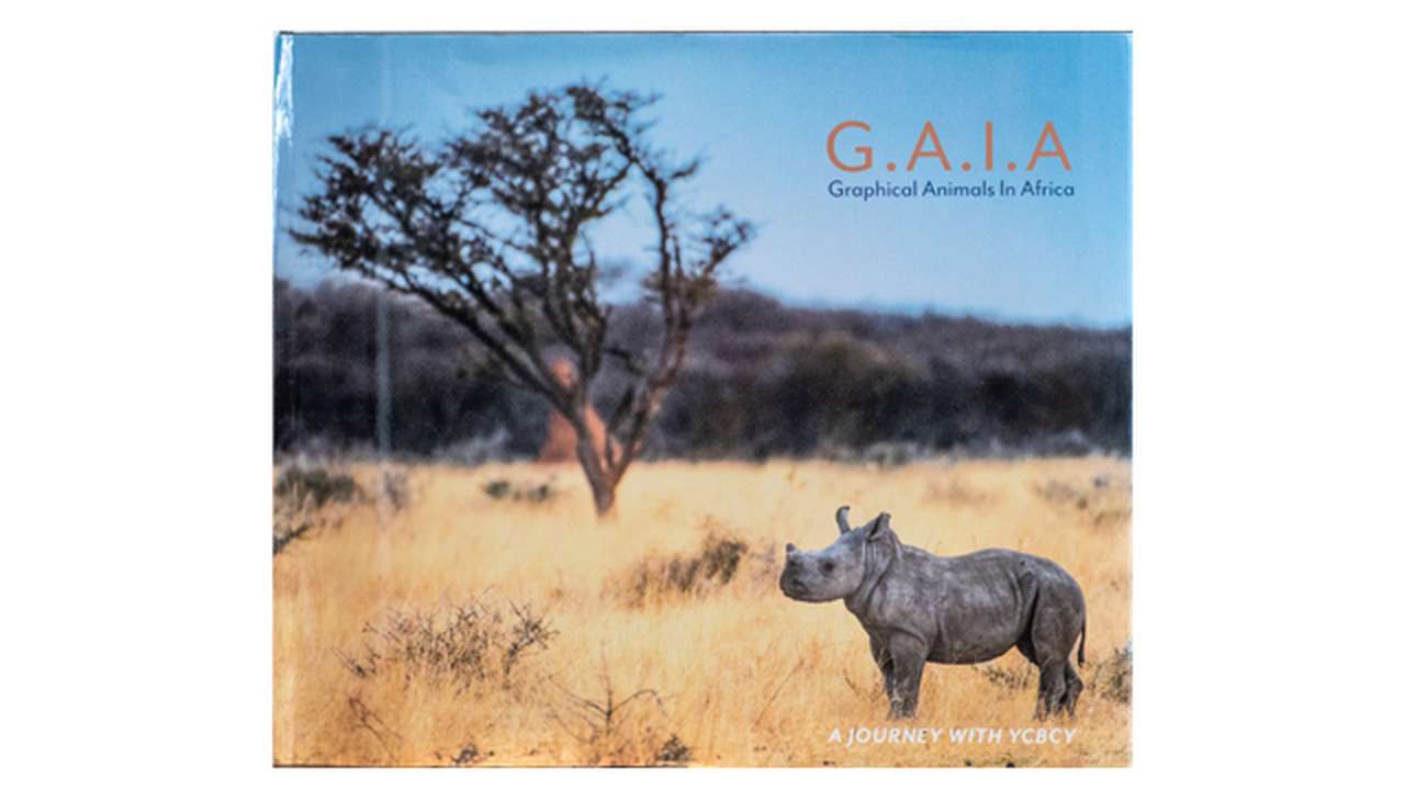 G.A.I.A - Graphical Animals In Africa