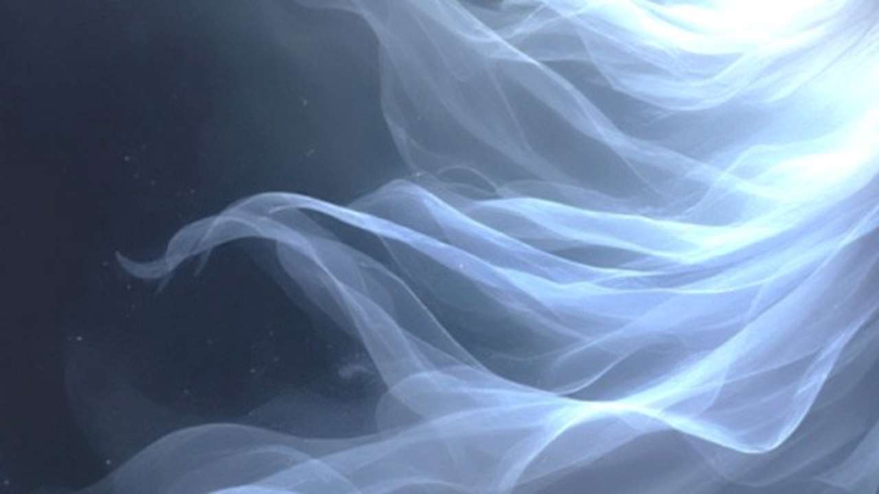 Soutenez "Les Émotions Fantômes"
