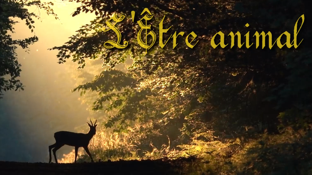 L'Être animal