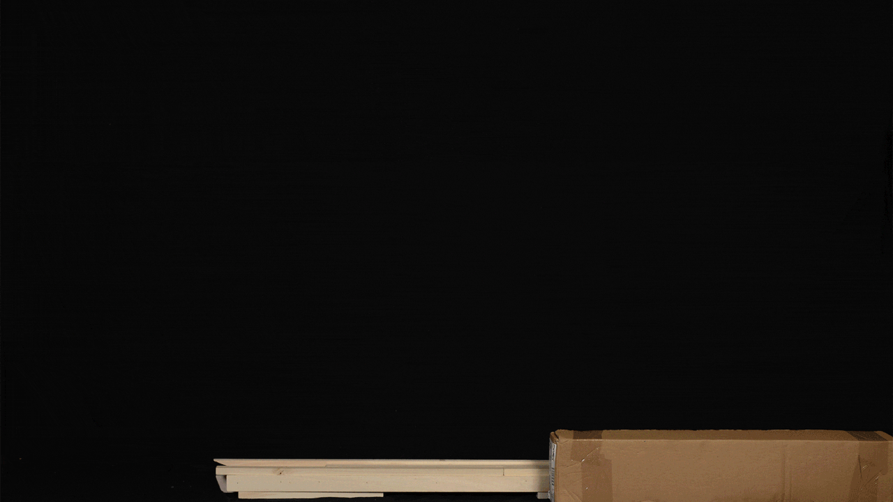 Le Sapin Magnétique