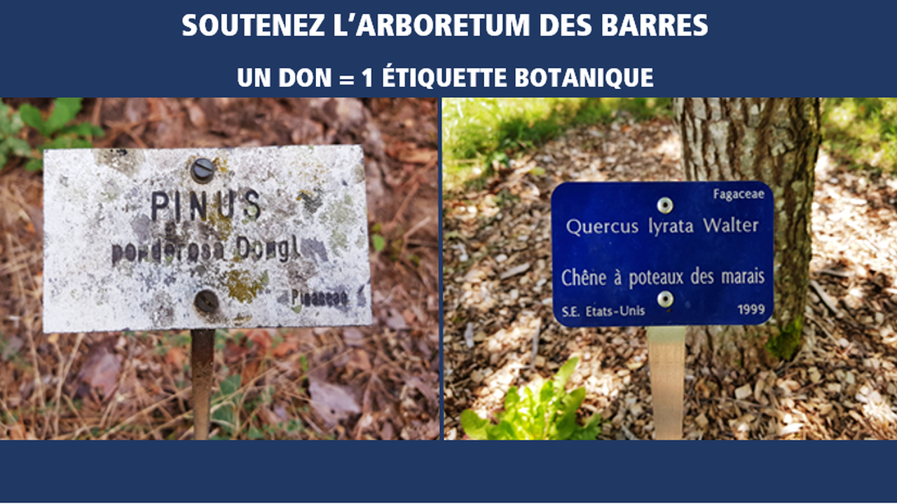 Nouvelles étiquettes botaniques pour l'Arboretum