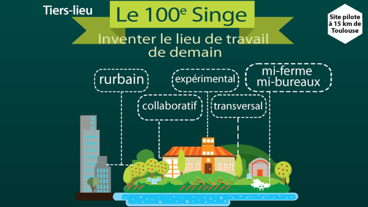 Le 100e Singe