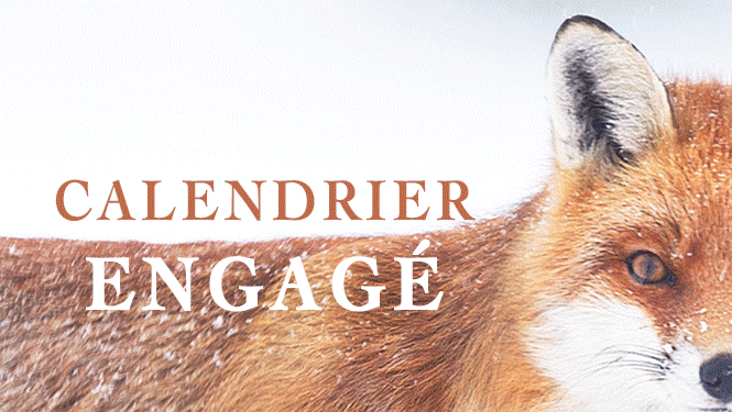Calendrier Nature 2023 engagé pour la biodiversité - Ulule