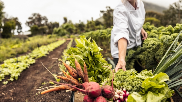 Le meilleur du terroir en quelques clics - Ulule