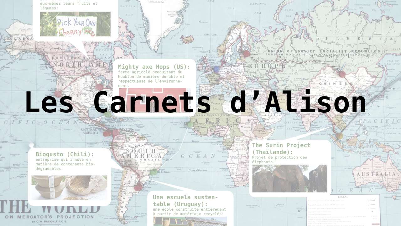 Les Carnets d'Alison