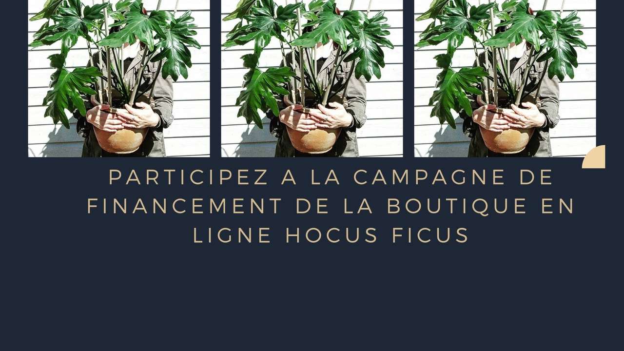 Hocus Ficus - Ulule