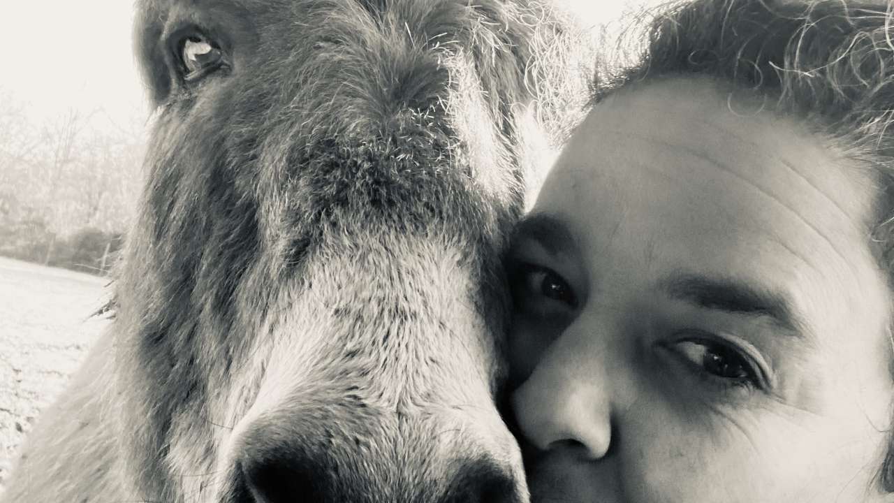 Praticienne en Médiation Animale