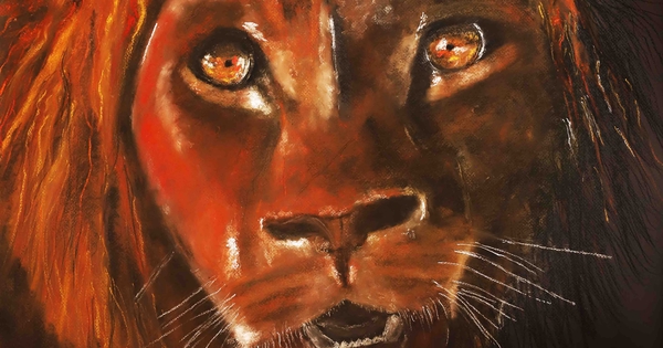 FRISSON ANIMAL LIVRES ILLUSTRÉS LA TRILOGIE - Ulule