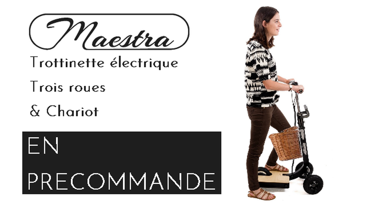 Maestra Mobility - Ulule