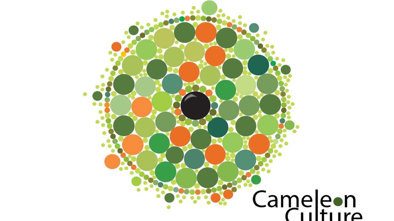 Les couleurs du caméléon