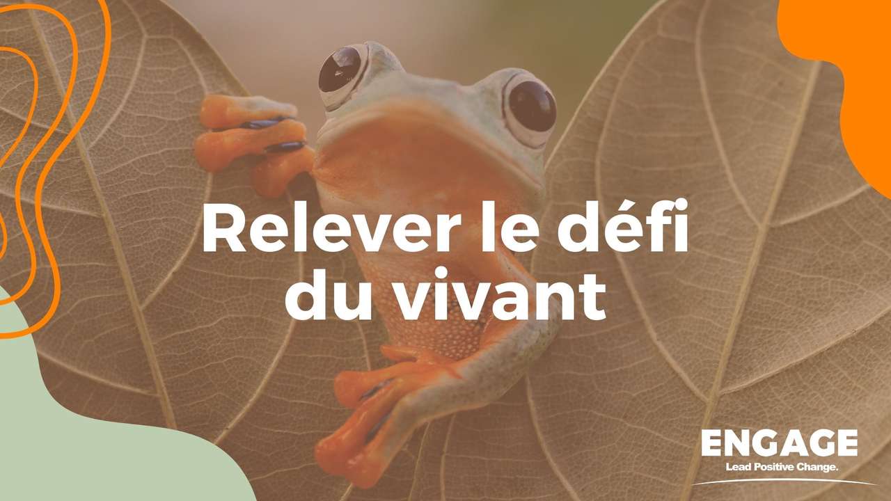 MOOC BIODIVERSITÉ - Ulule