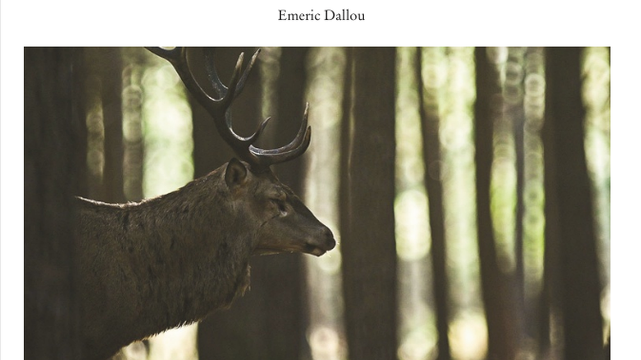 Le livre "FASCINATION" - Ulule