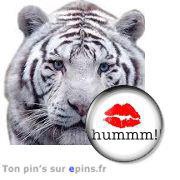 Bruno Poterie - Ulule