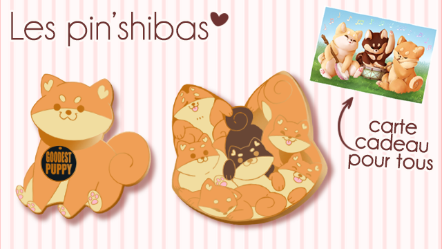 Les Pin'shibas - Ulule