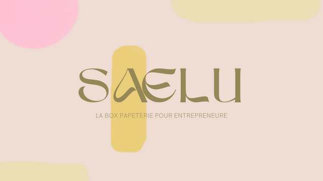 Saelu, la box papeterie pour entrepreneures ! - Ulule