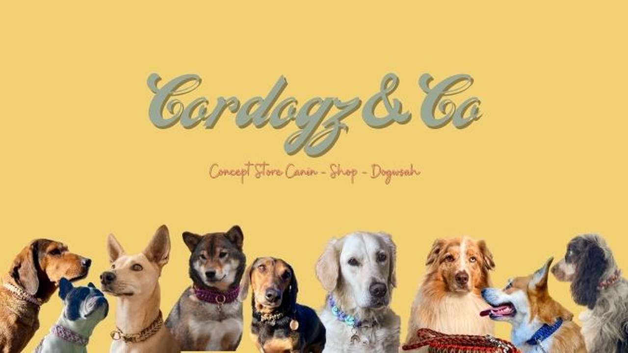 Concept Store pour chien « Cordogz&Co - Shop et DogWash