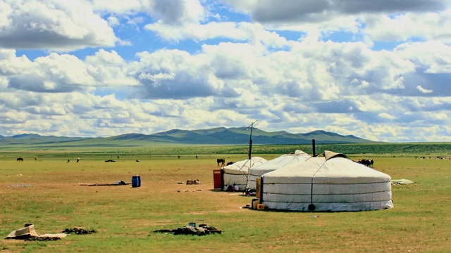 Noelle Berrard - Ulule