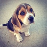 Nadia Benattia - Ulule