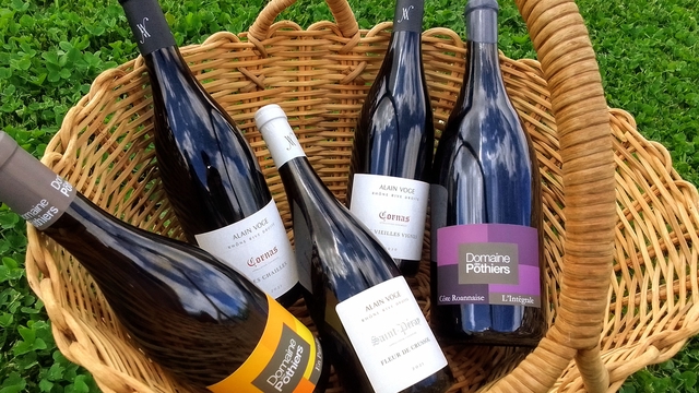 Une cave pour des jolis vins - Ulule