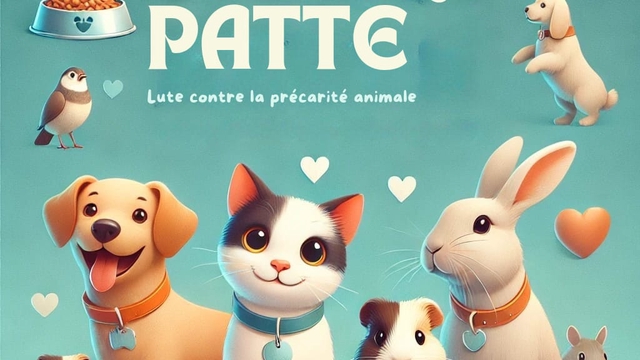 Un repas pour chaque patte - Ulule