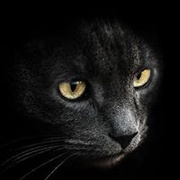 Maryline Antoine Meteau - Ulule