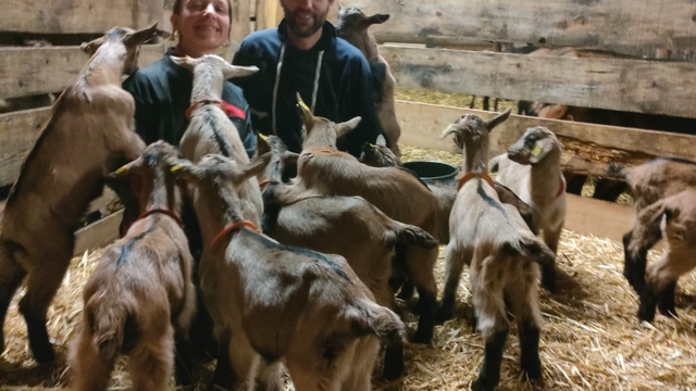 Pour soutenir une chèvrerie Bio de Lozère