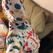 Jerome L.E.P - Ulule