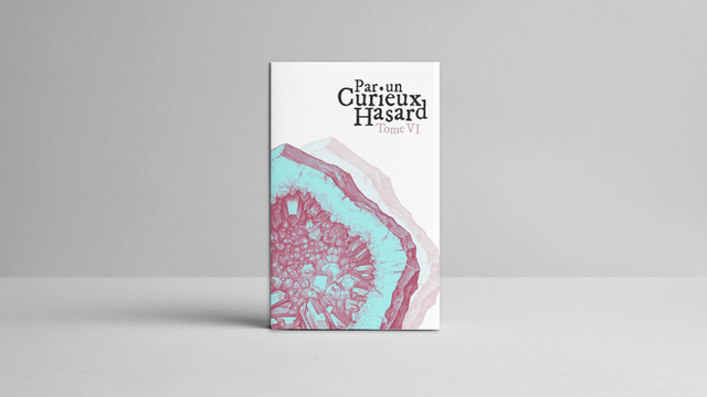 Les livres "Par un Curieux Hasard" - Parution du Tome 6 - Ulule