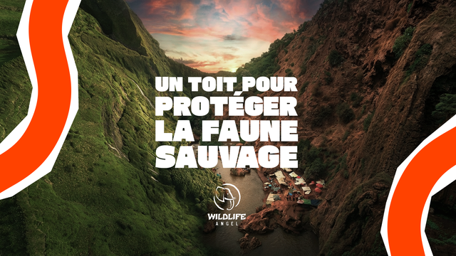 Un toit pour protéger la faune sauvage - FIN, MERCI À TOUS ! - Ulule