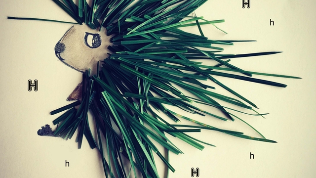 lucie-graindorge - Ulule