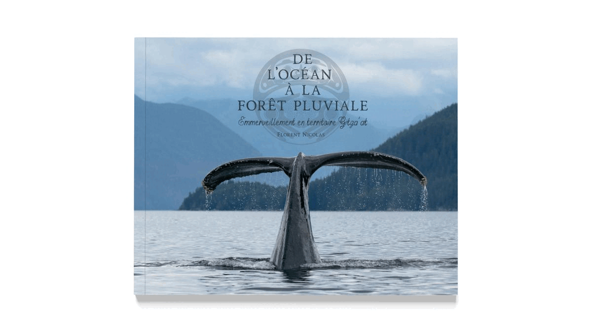 De l´océan à la forêt pluviale