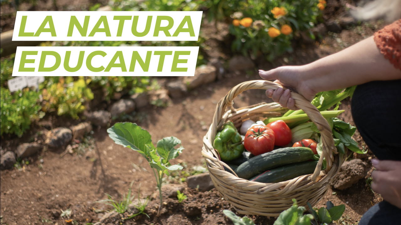 Orto di Narciso e Pomodoro