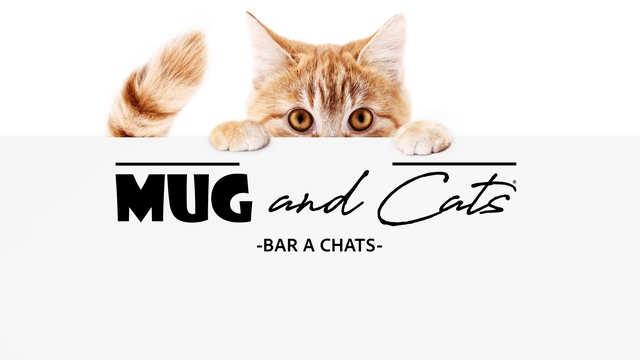 MUG AND CATS, le bar à chats Picard.
