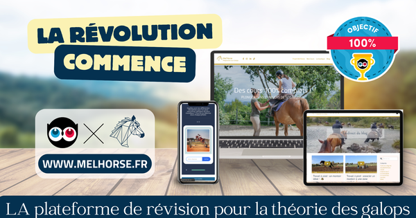 ⚡ Mel'Horse : La révolution que l'équitation attendait