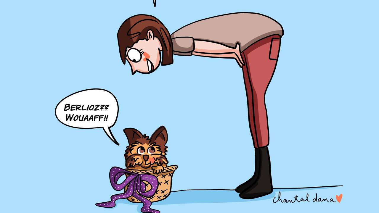 BD Il s'appellera Berlioz ! 🐶