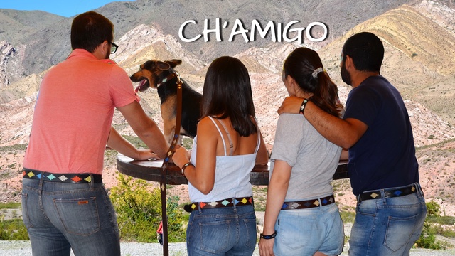 STEPHANE GEORGES - Ulule