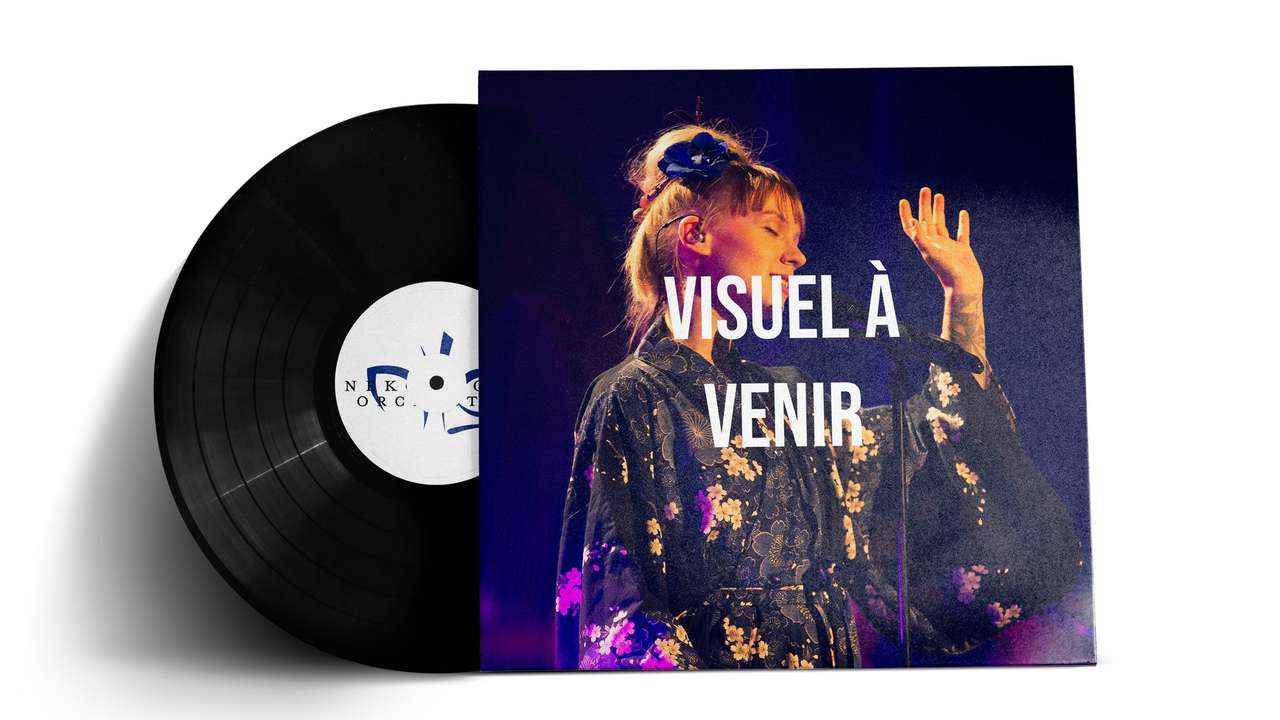 Vinyle/CD 'Echos de la Vallée du Vent'-Neko Light Orchestra - Ulule