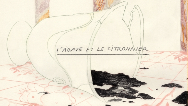 L'Agave et le Citronnier