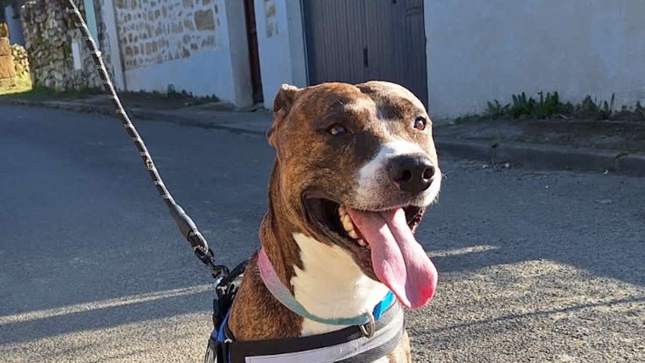 Aidez-nous à offrir une seconde chance à Titan