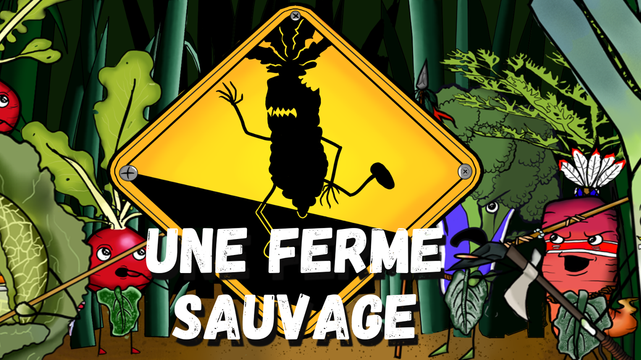 Installation d'Une ferme sauvage
