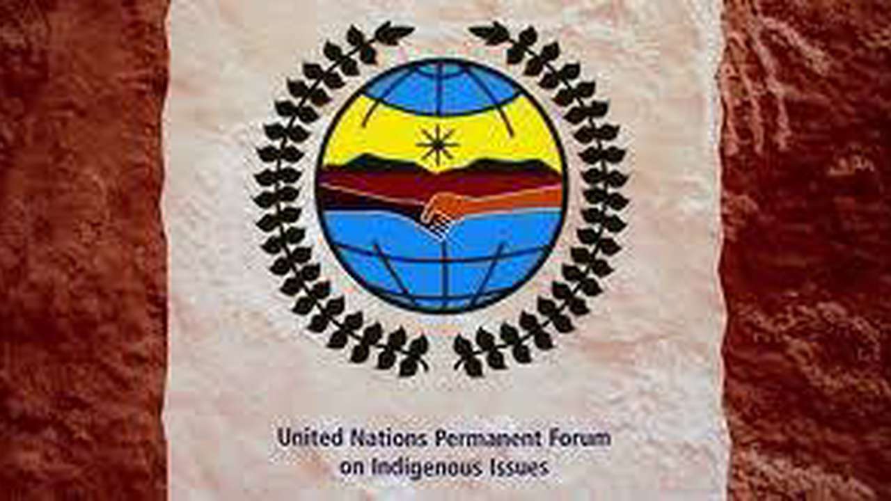 Indigenous Issues at United Nations