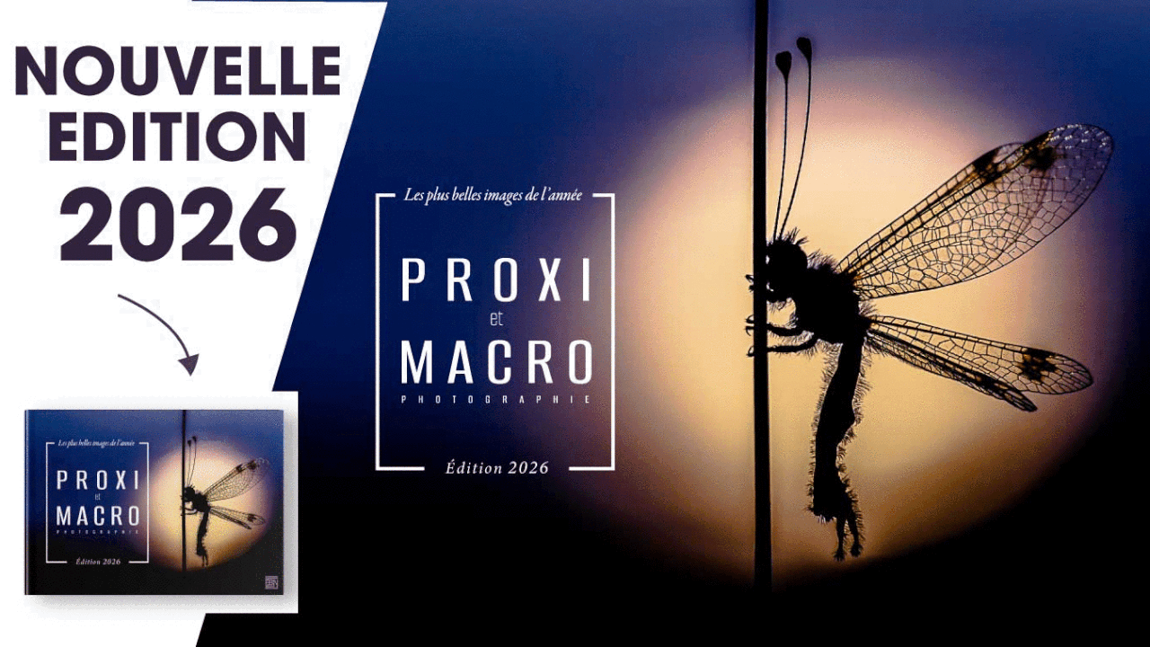 MACRO-PROXI -Les plus belles images de l'année-2026