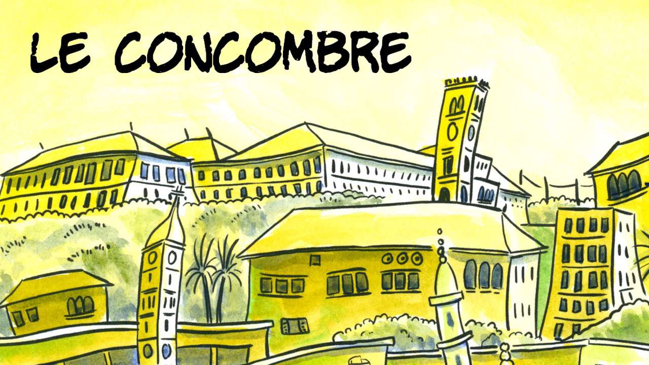 Le Concombre - Ulule