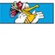 Vincent Sélenne - Ulule